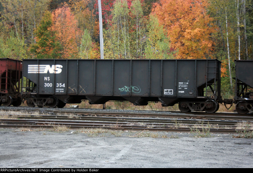 NS 300354
